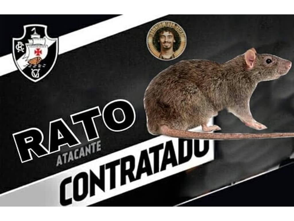 Rato invade campo em São Januário e gera memes nas redes - Lance!