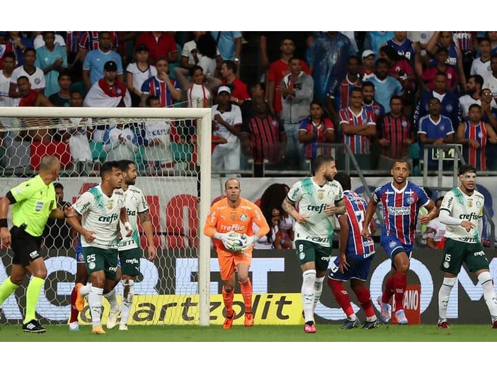 Torcedores Do Palmeiras Elegem Vilão Em Derrota Para O Bahia