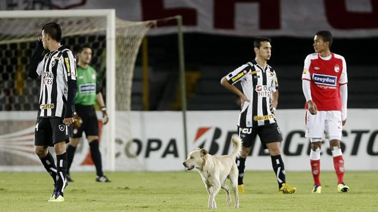 Zagueiro fratura o nariz e cartola do Náutico se revolta - Lance!