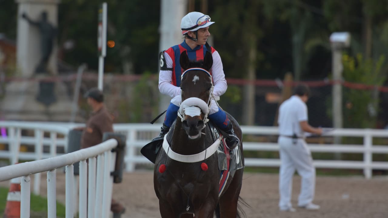 Jóquei está confiante em Daffy Girl - Lance!