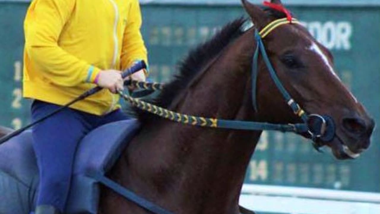 Victoria Mota assina 19 montarias na semana de estreia - Lance!