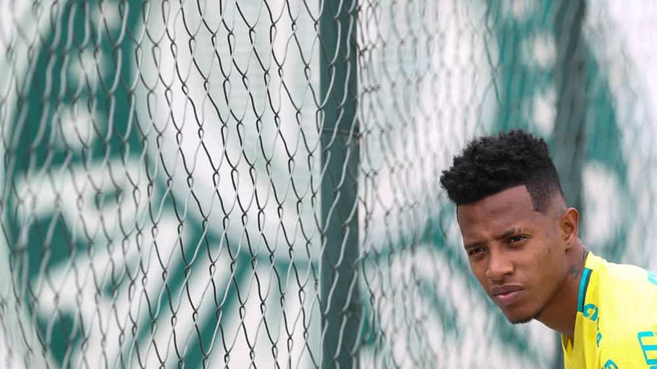 Tchê Tchê celebra renovação, sonha com a Seleção e diz: 'O Palmeiras ...