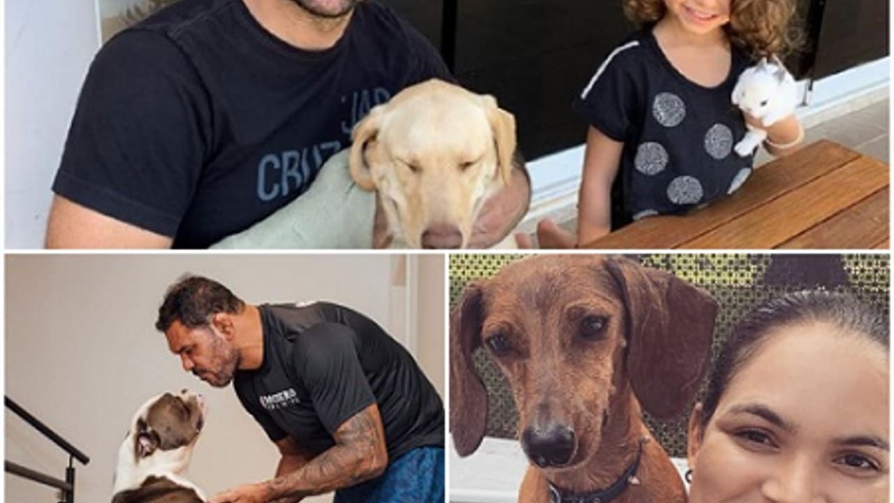 Influencer Carolina Botelho analisa o perfil dos pets preferidos pelos ...