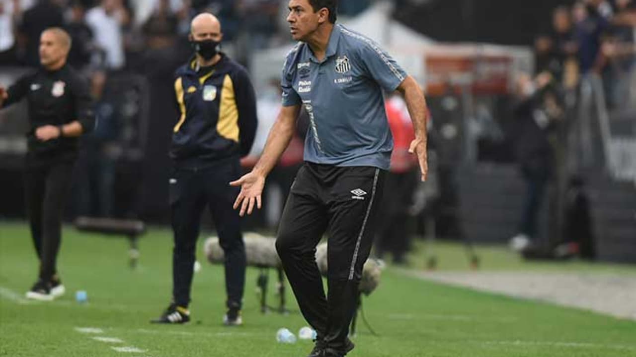 Fábio Carille rasga elogios para os garotos do Santos - Lance! Fábio Carille rasga elogios para os garotos do Santos - Lance!
