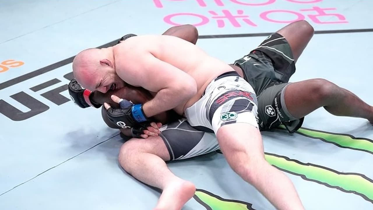 UFC Fight Night: Spivak vence Lewis com facilidade e consolida melhor ...