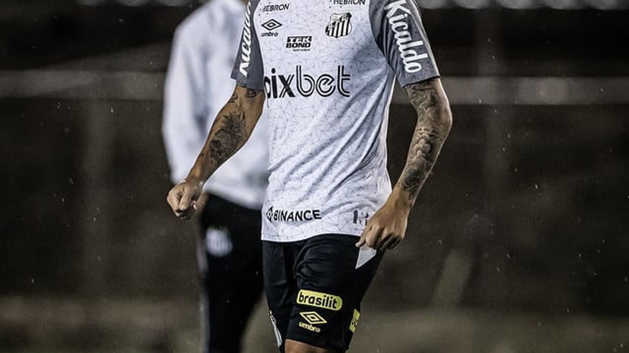 Dodi exalta dedicação do Santos e reclama do gramado em classificação ...
