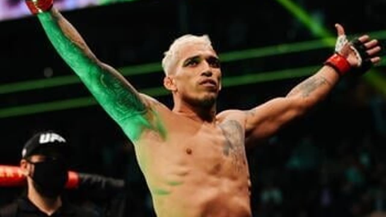 Quais são as categorias de peso do UFC?