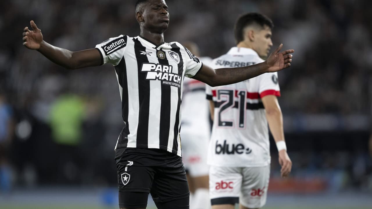 Botafogo atinge marca histórica em 2024; entenda