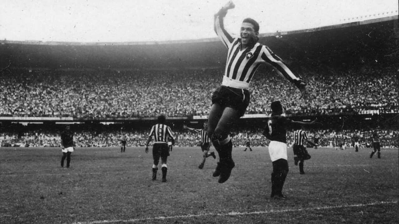 Ídolos do Botafogo: conheça os 10 maiores da história