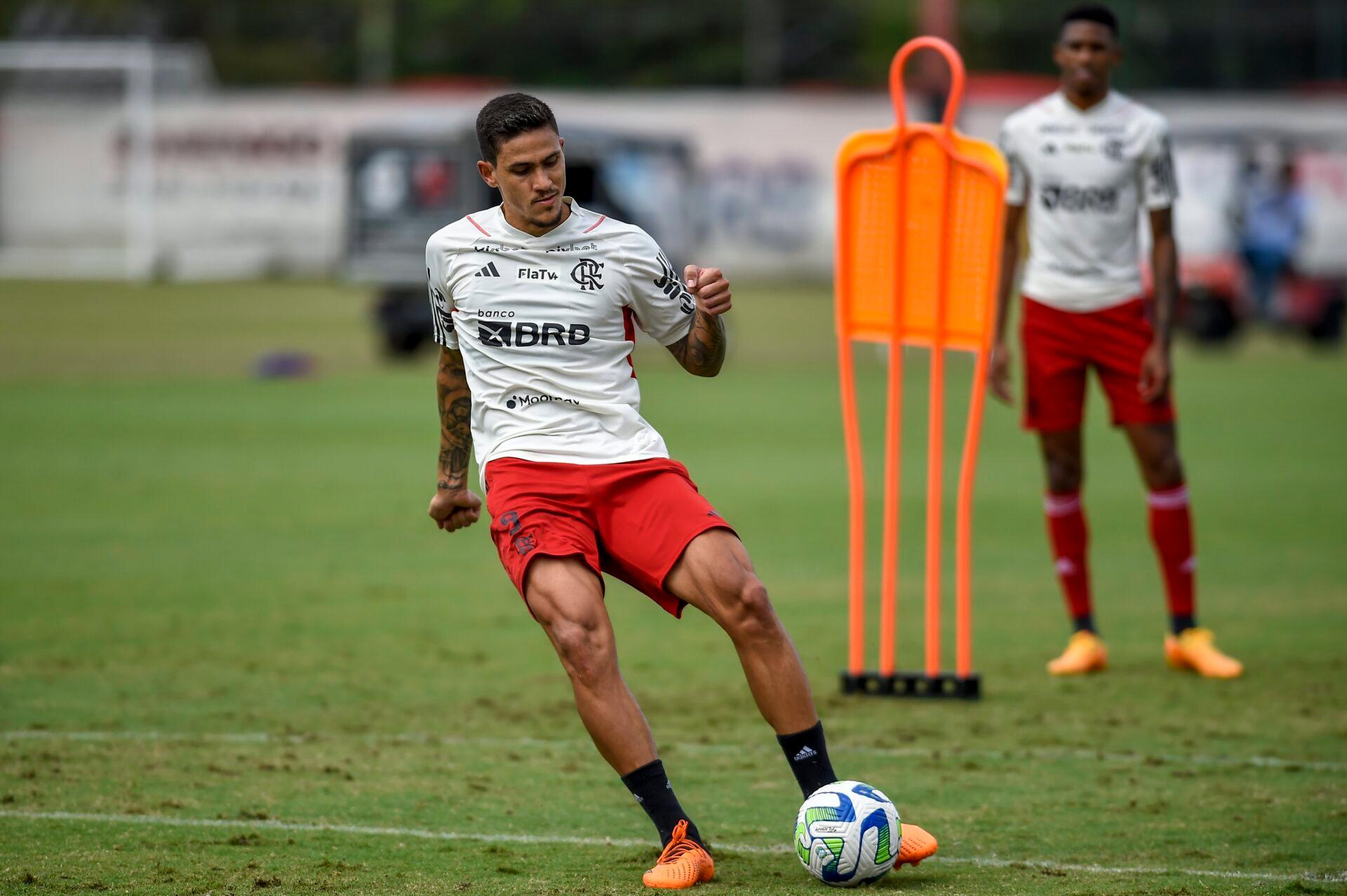 Quem é Pablo Fernández? Conheça preparador do Flamengo que agrediu Pedro