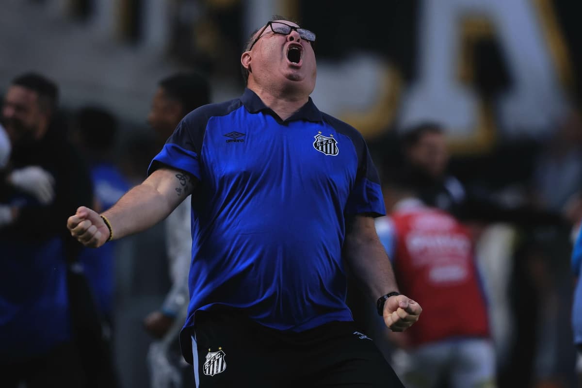 Marcelo Fernandes é efetivado no comando do Santos - Lance!