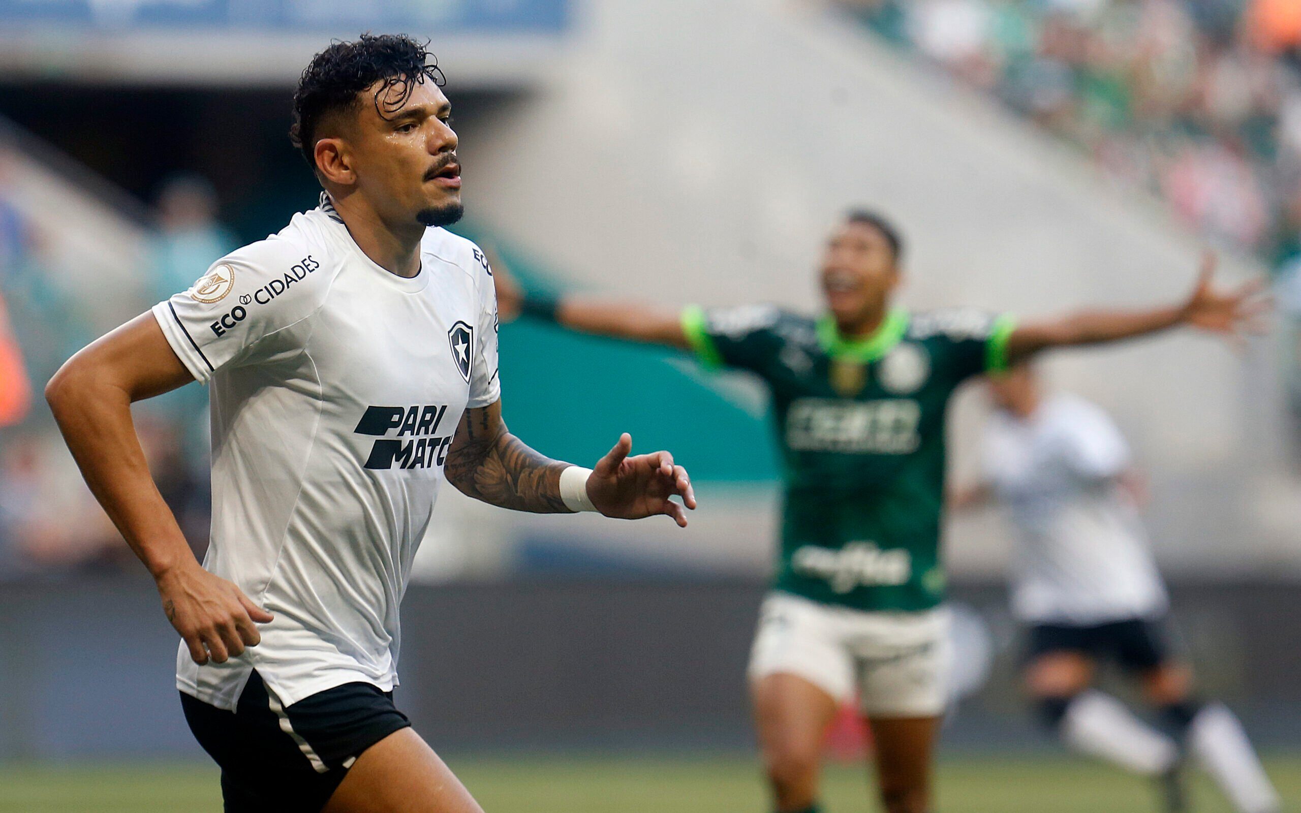 Tiquinho Soares celebra vitória do Botafogo sobre o Palmeiras